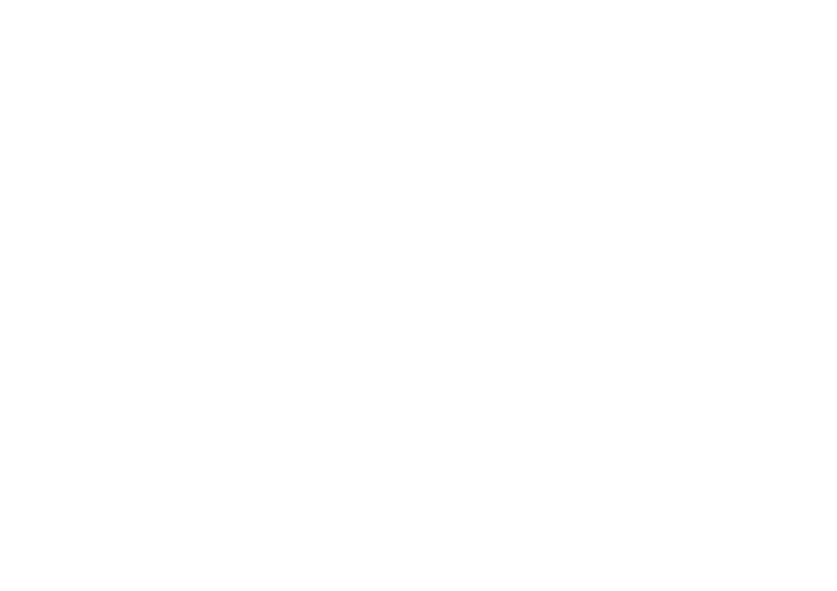 GTSI – Global Talent Solution International